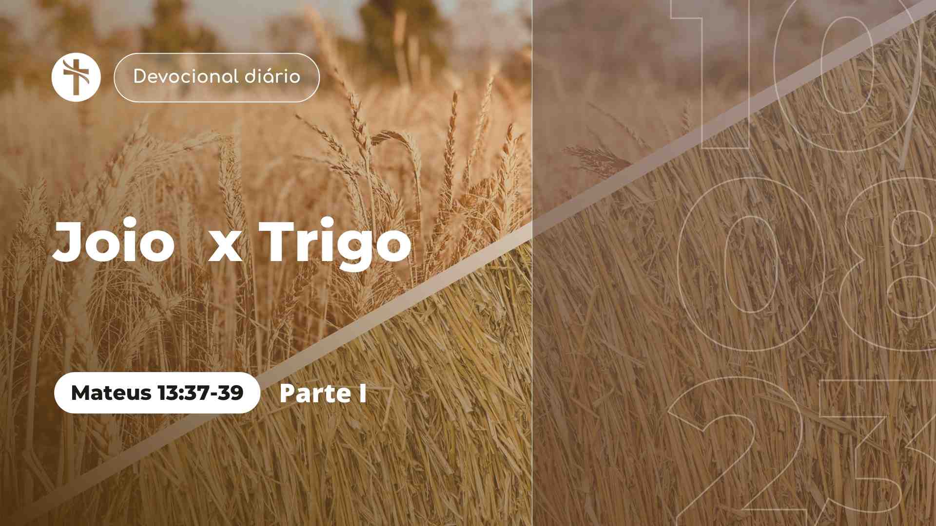 🌾 Joio X Trigo (Parte I) - Blog Igreja Batista Em Cristo